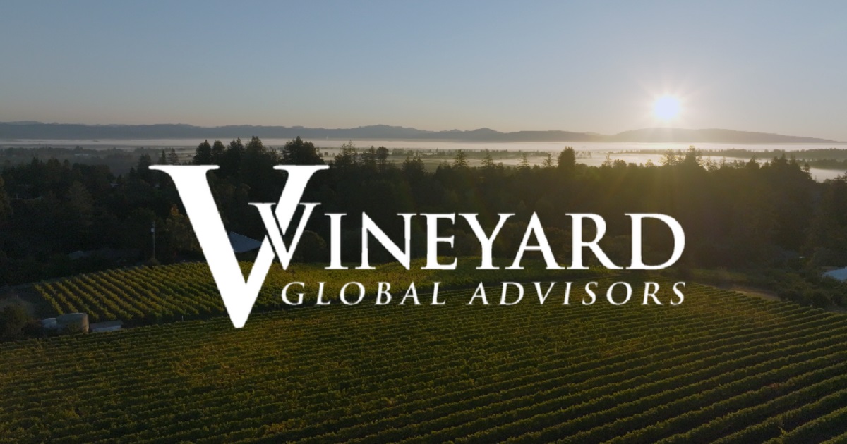 Harvesting Success: The Philosophy of Vineyard Global Advisors